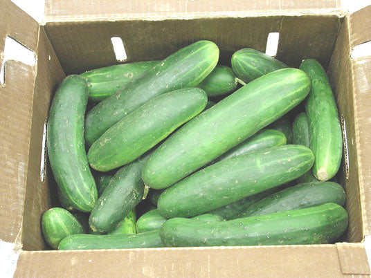 CUCUMBER,SUPER SELECT – Disfruta1063